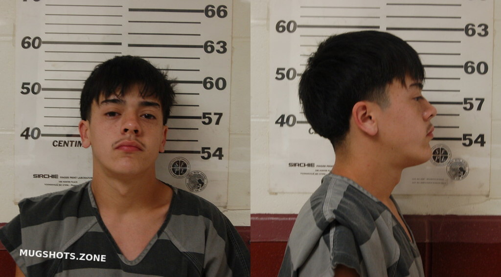 HADEN ISAIAH PAUL 06/08/2025 - Henderson County Mugshots Zone