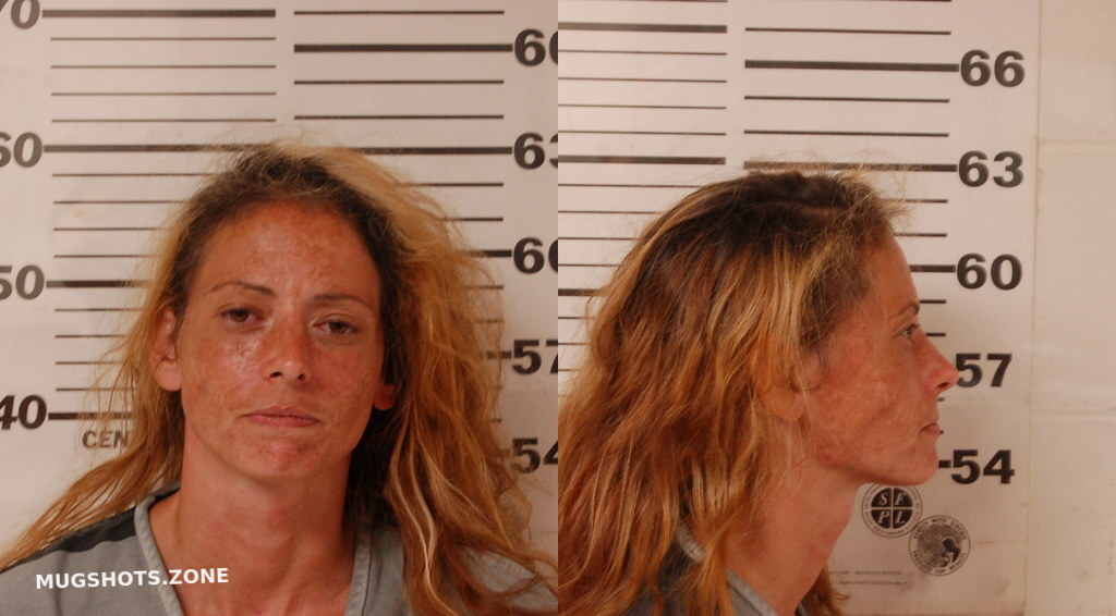 RIGGINS MANDY NICHOLE 06/14/2025 - Henderson County Mugshots Zone