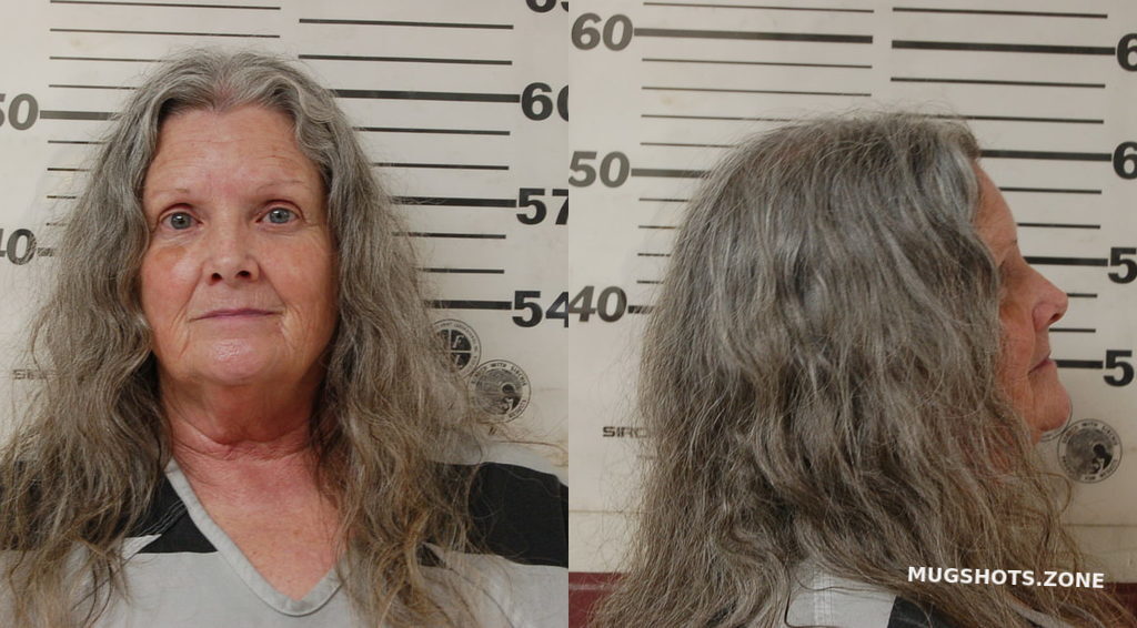 BOWEN VEDA LYNN 06/14/2025 - Henderson County Mugshots Zone