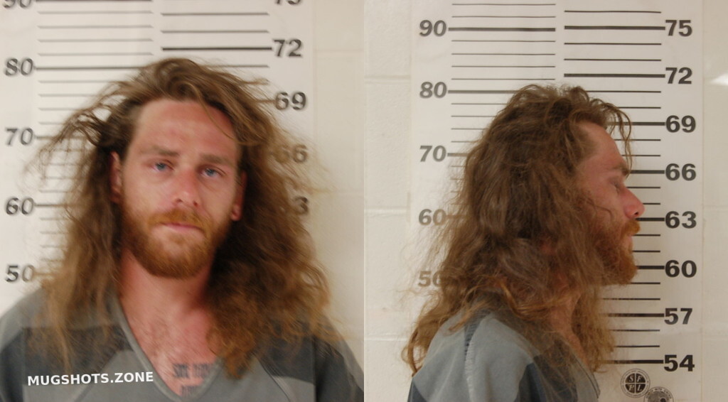 BRUNSON TREVOR DWAYNE 07/23/2025 - Henderson County Mugshots Zone