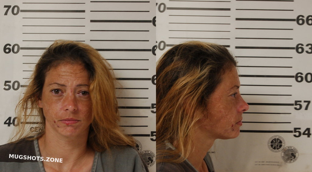 RIGGINS MANDY NICHOLE 07/29/2025 - Henderson County Mugshots Zone