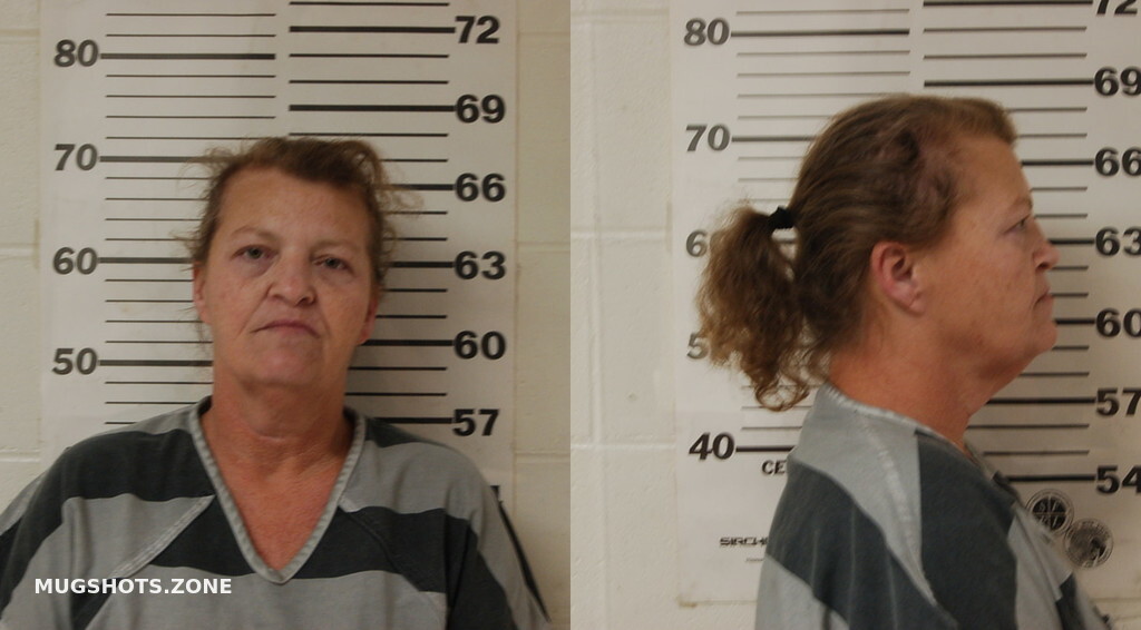 CANTRELL TAMMY GRAY 08/16/2025 - Henderson County Mugshots Zone