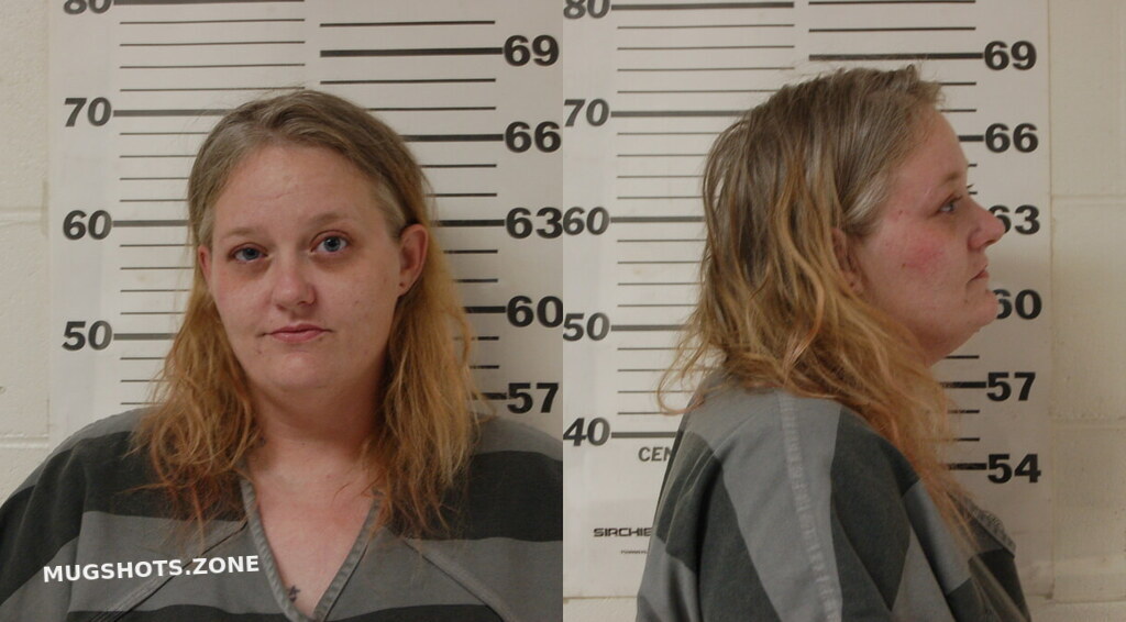 PERRY EMILY ANN 09/16/2025 - Henderson County Mugshots Zone
