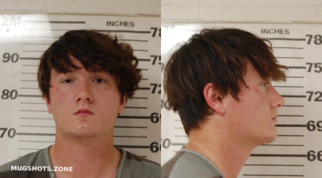 STEELE KEAGAN WAYNE 10/17/2025 - Henderson County Mugshots Zone