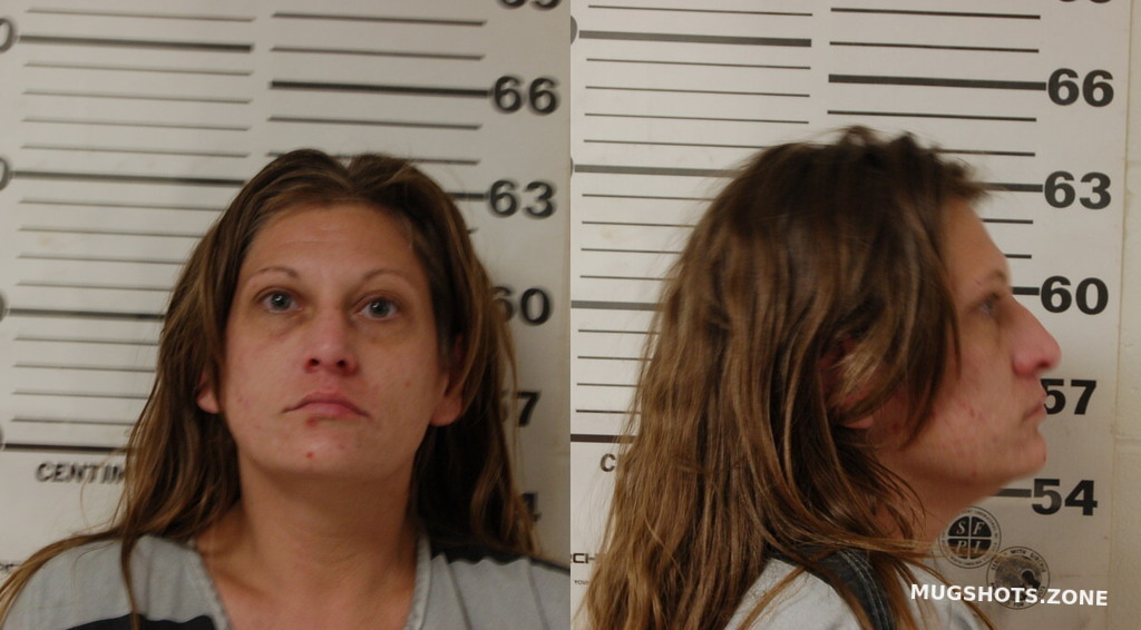 JETER STACIE ANN 11/13/2025 - Henderson County Mugshots Zone