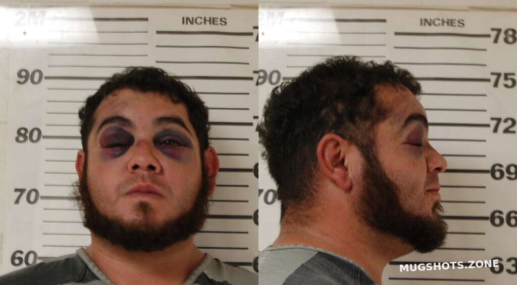 CHAIREZ ALFONSO 11/14/2025 - Henderson County Mugshots Zone
