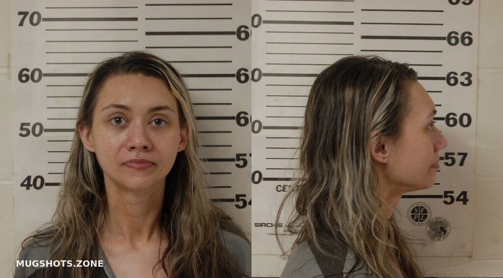 LEWIS AIMEE ELIZABETH 11/14/2025 - Henderson County Mugshots Zone
