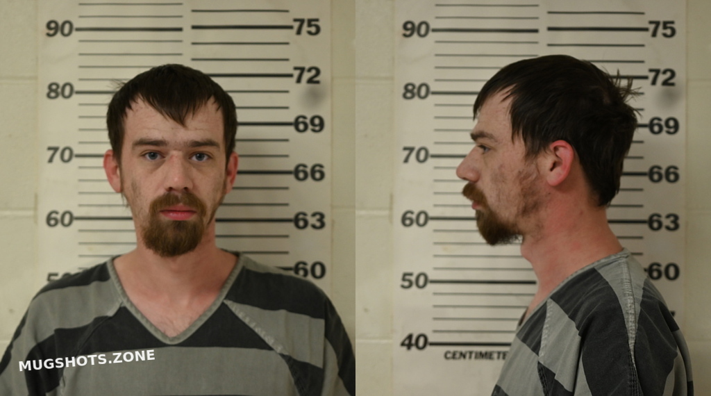 DILLARD MATHEW DONOVAN 12/07/2025 - Henderson County Mugshots Zone