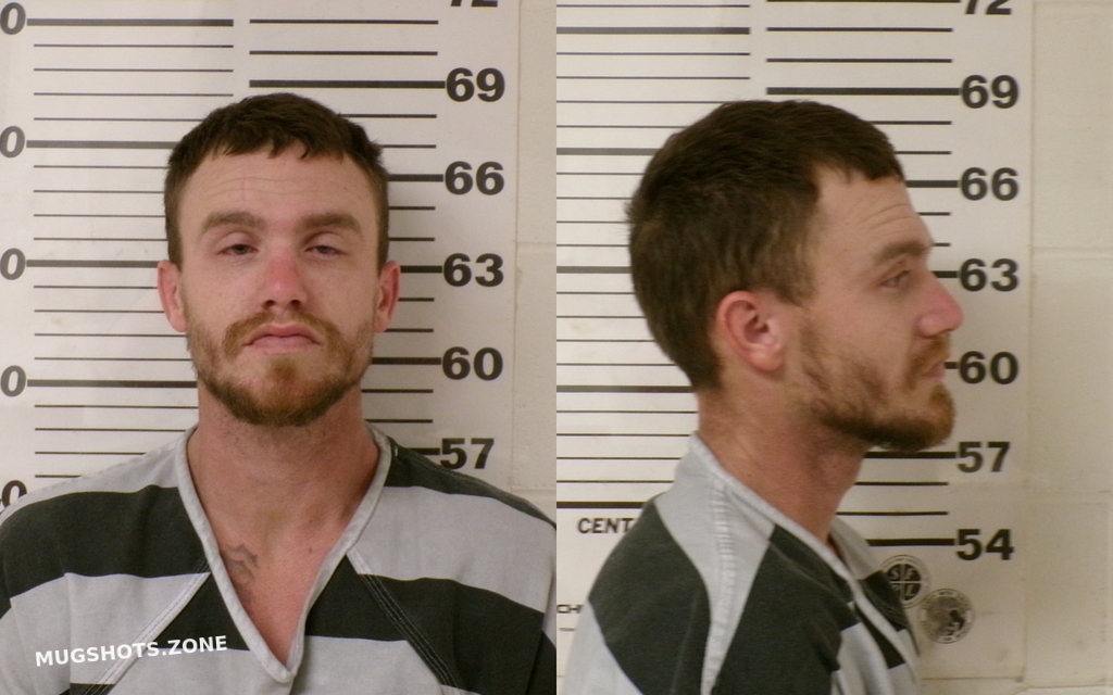 DAVIS BRANDON LEE 12/28/2025 - Henderson County Mugshots Zone