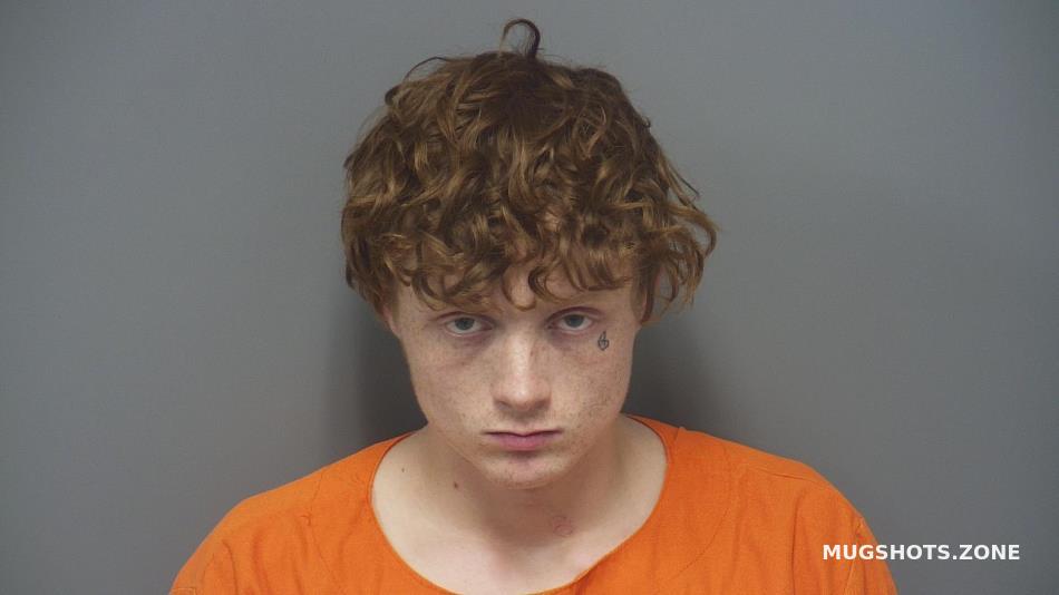 HADLEY NOVYN NMI 02/26/2024 - Hendricks County Mugshots Zone