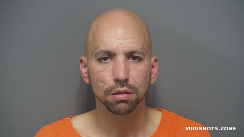 THORPE MICHAEL DAVID 11/16/2024 - Hendricks County Mugshots Zone