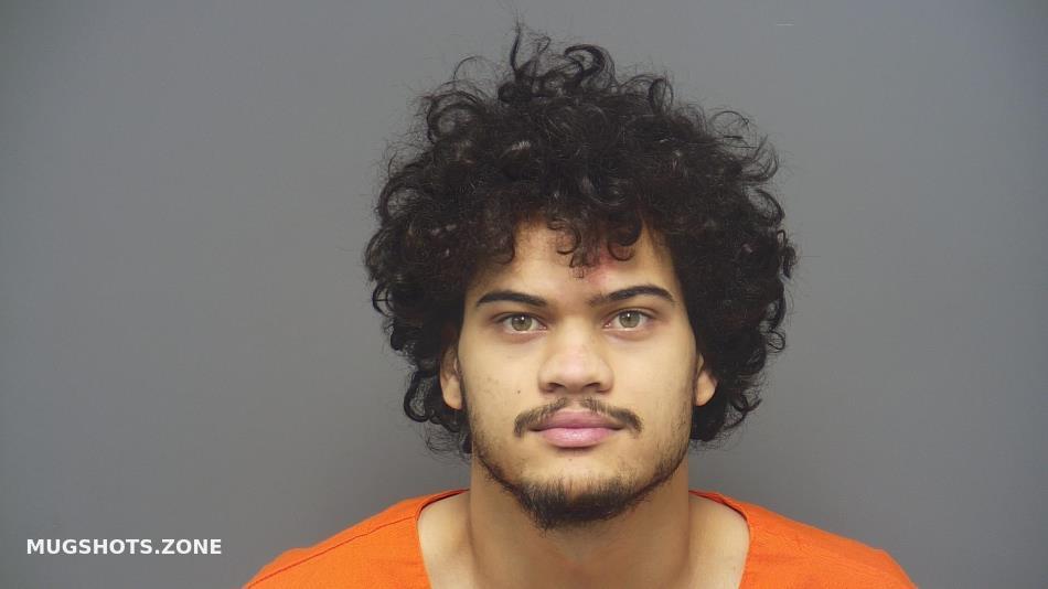 TORRES ESEQUIEL NMN 12/03/2024 - Hendricks County Mugshots Zone