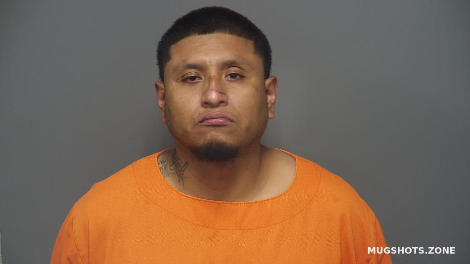 NICOLAS JOSE DOMINGUEZ 04/29/2025 - Hendricks County Mugshots Zone