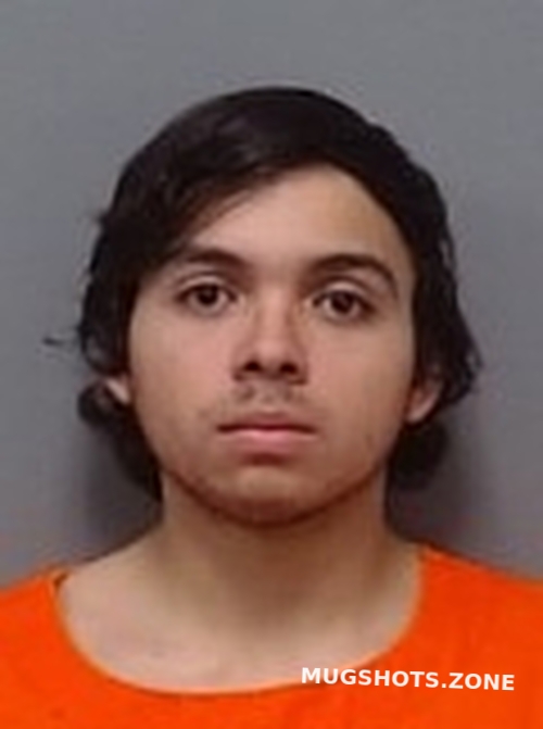 RAMOS CARLOS DANIEL 06/11/2025 - Hendricks County Mugshots Zone