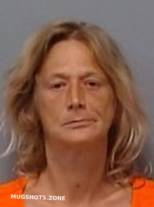 HOBBS HOLLY VERMELLE 07/16/2025 - Hendricks County Mugshots Zone