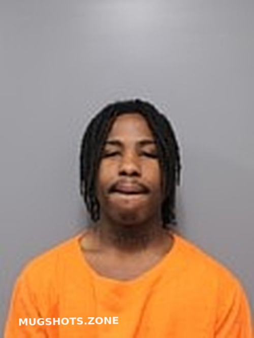 CHISM MILES ELIJAH 08/05/2025 - Hendricks County Mugshots Zone