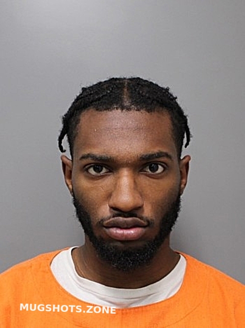 BROWN RODNEY 08/13/2025 - Hendricks County Mugshots Zone