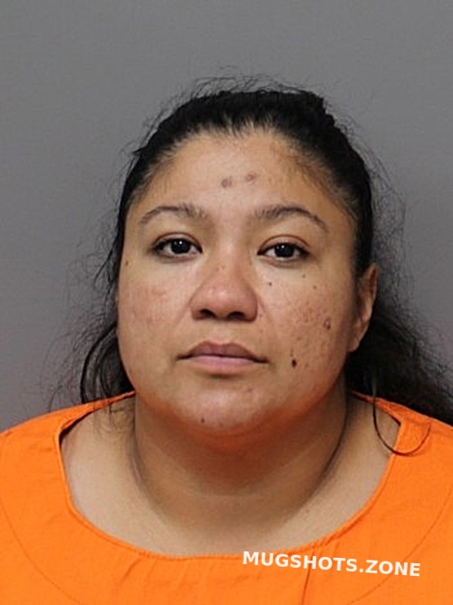 LUNA YOLANDA 08/22/2025 - Hendricks County Mugshots Zone