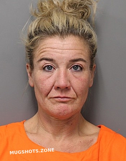 SHARKITT JAMIE LYNN 10/16/2025 - Hendricks County Mugshots Zone
