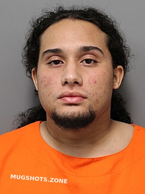 MORRIS MAKHI RAY 10/19/2025 - Hendricks County Mugshots Zone