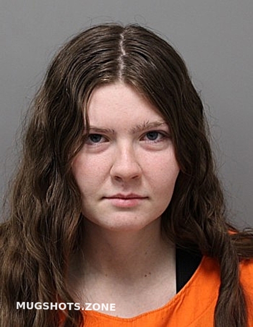 YOUNG SIERRA 10/25/2025 - Hendricks County Mugshots Zone