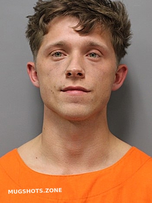 STACHOWSKI MASON LYNN 11/01/2025 - Hendricks County Mugshots Zone