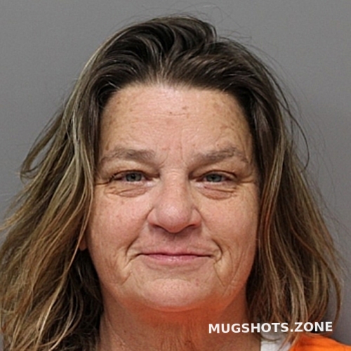WARD VICKY LYNN 11/04/2025 - Hendricks County Mugshots Zone