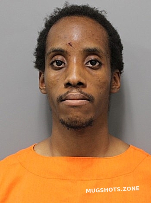 MITCHELL TERRELL D 11/06/2025 - Hendricks County Mugshots Zone