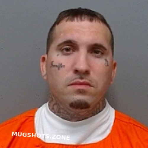 BOYCE DAMIEN JOE 11/07/2025 - Hendricks County Mugshots Zone