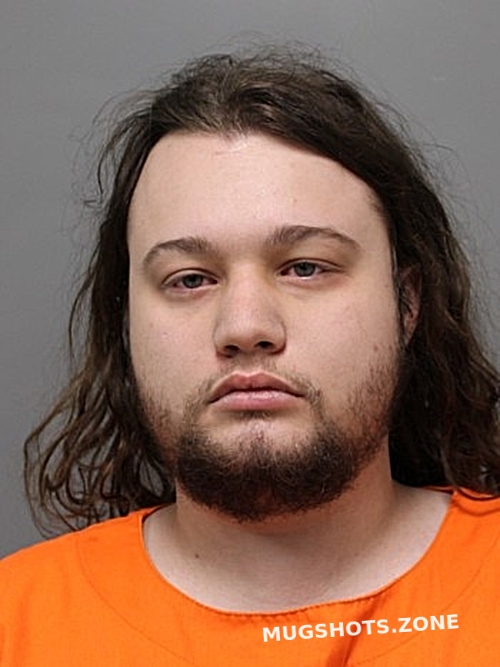 PAGE WILLIAM LOGAN 11/12/2025 - Hendricks County Mugshots Zone