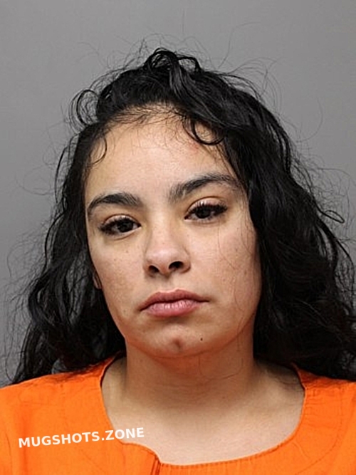 SANTOS-RIVERA DOMINIQUE ASHLEY 11/21/2025 - Hendricks County Mugshots Zone
