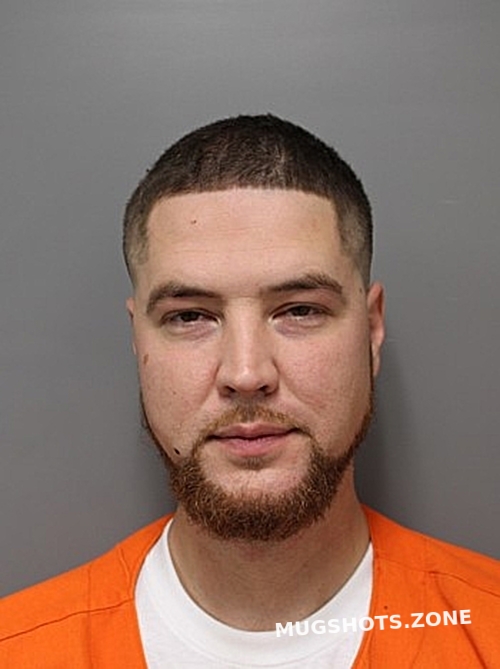 MONTGOMERY AUSTIN TANNER 11/22/2025 - Hendricks County Mugshots Zone