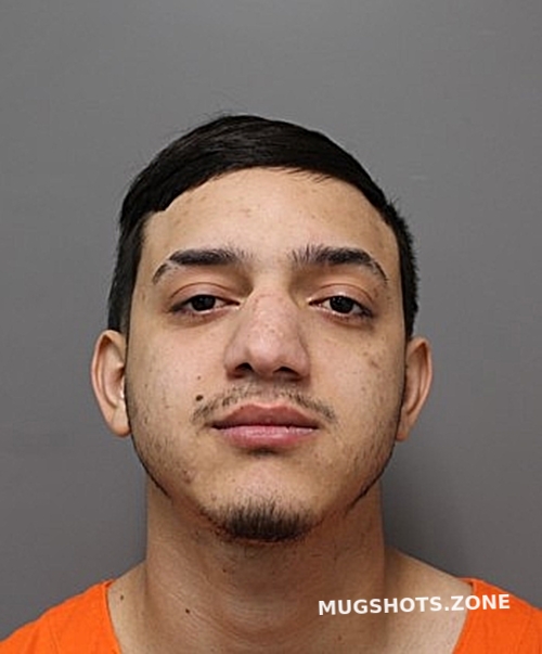 CASTILLO RANDY LEONARDO 11/24/2025 - Hendricks County Mugshots Zone