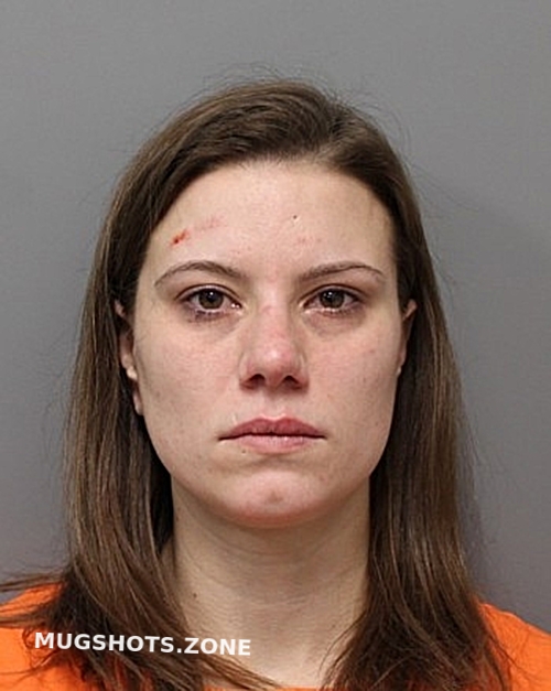 PHILLIPS DANIELLE 12/28/2025 - Hendricks County Mugshots Zone