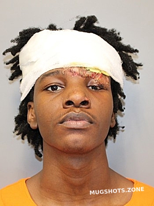 ODUTAYO ENIAKIN 12/28/2025 - Hendricks County Mugshots Zone