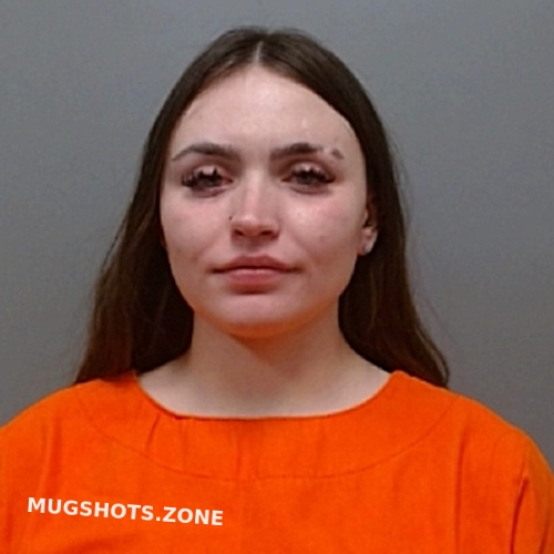 FOSTER TRINITY M 02/12/2026 - Hendricks County Mugshots Zone