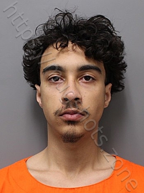 GRIFFIN LOGAN MAXWELL 03/15/2026 - Hendricks County Mugshots Zone