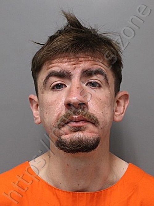 WADE ZACHARY DAVID 03/18/2026 - Hendricks County Mugshots Zone
