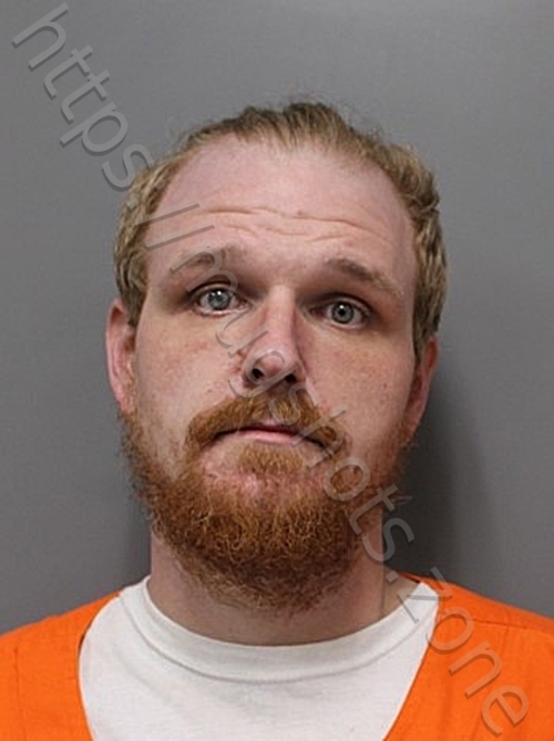 JOHNSTON DUSTIN 04/05/2026 - Hendricks County Mugshots Zone