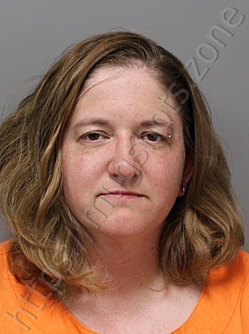 LINDGREN AMANDA K 04/16/2026 - Hendricks County Mugshots Zone