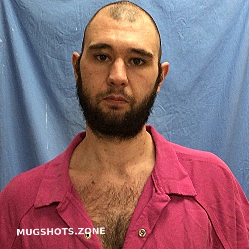 HUNTER GARY WAYNE JR 04/06/2021 - Henry County Mugshots Zone