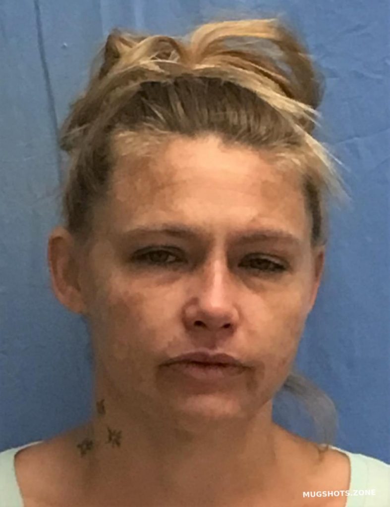 BOYER HOLLY ANN 09/24/2021 - Henry County Mugshots Zone