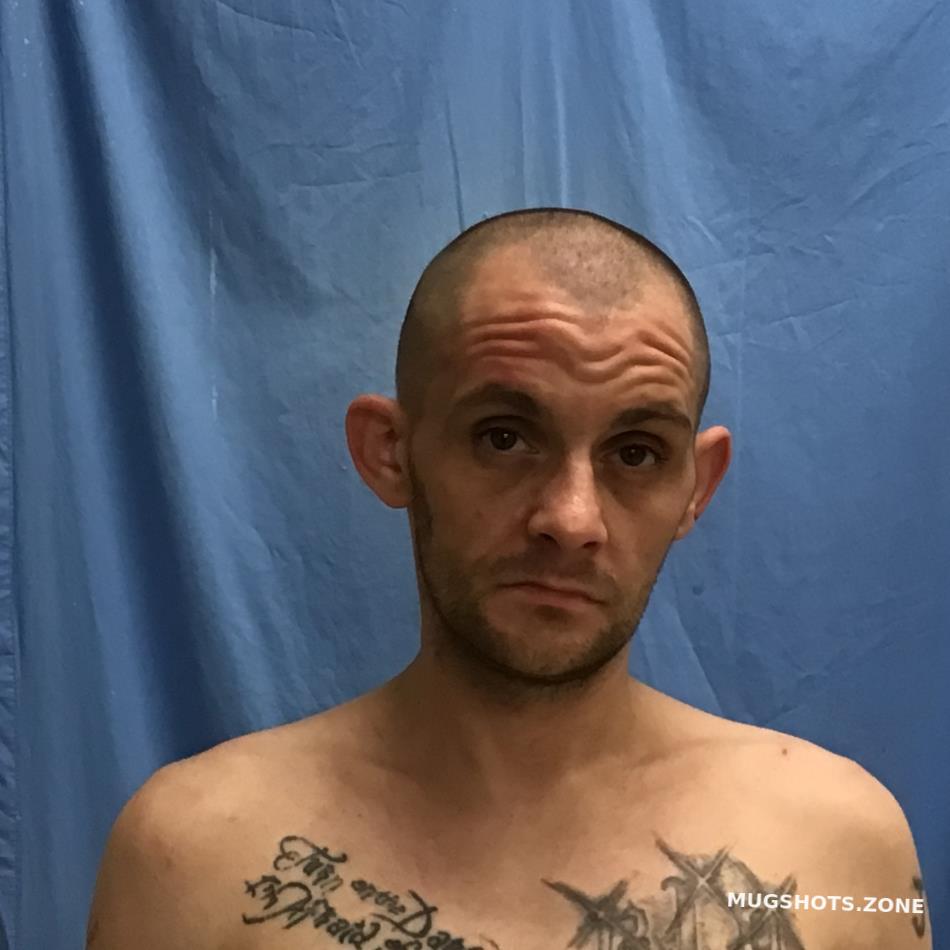 DAVIS JOHNNY RAY 05/11/2022 - Henry County Mugshots Zone