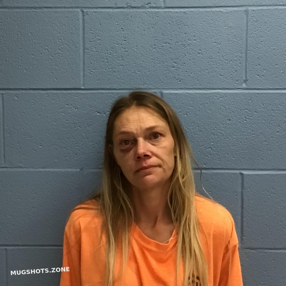 SKINNER AMY NICOLE 09/18/2022 - Henry County Mugshots Zone