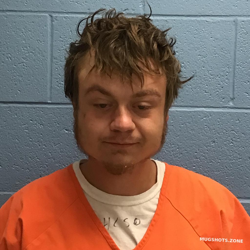 REED BRETT JAEGAR 11/05/2022 - Henry County Mugshots Zone