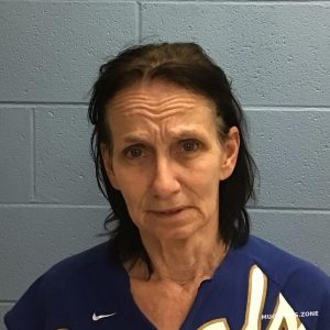 TRIPP PAULA 11/11/2022 - Henry County Mugshots Zone