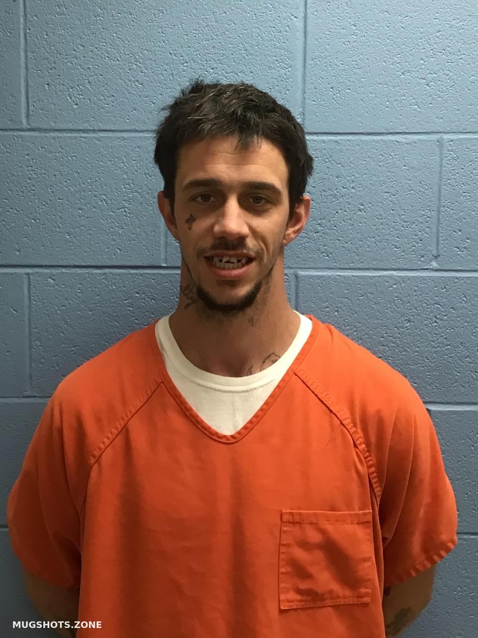 WALTERS NATHAN DANIEL 03/17/2025 - Henry County Mugshots Zone