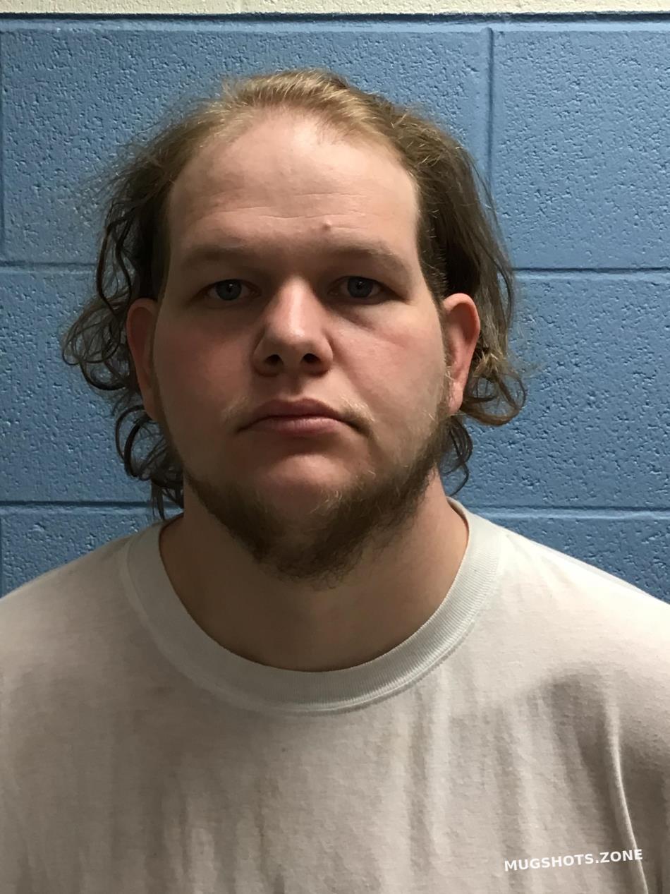 HOLLAND NICHOLAS ANDREW 03/27/2025 - Henry County Mugshots Zone