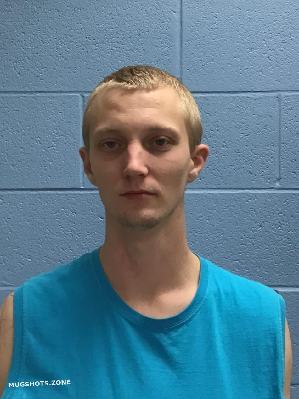 LINTHICUM NICHOLAS ANDREW 04/17/2025 - Henry County Mugshots Zone