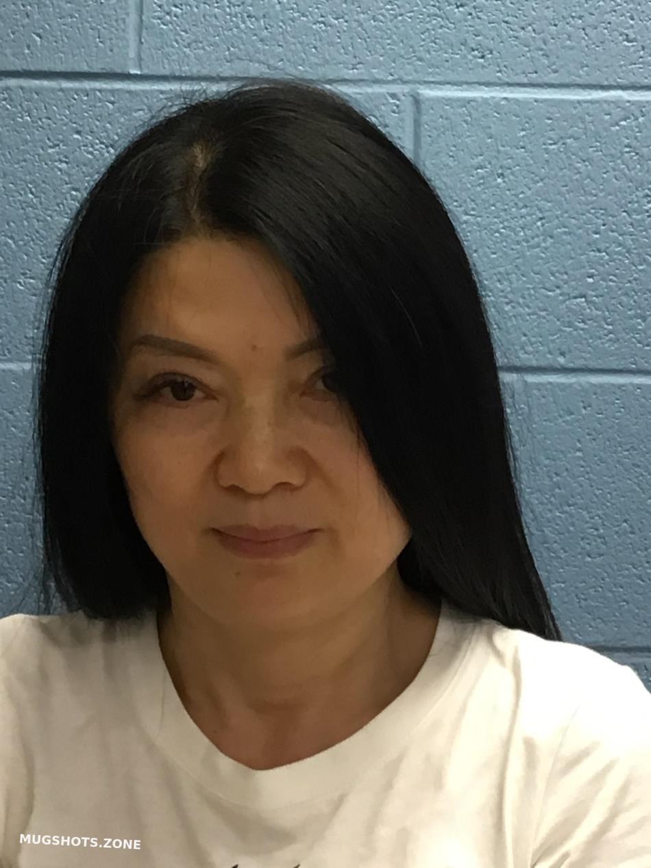 YAN JINMEI NONE 06/02/2025 - Henry County Mugshots Zone